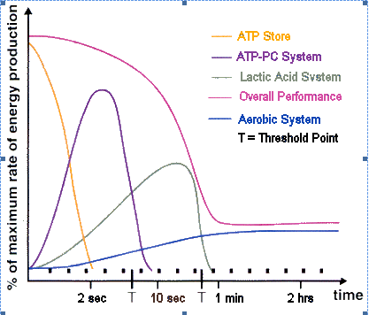 Energy Systems – HSC PDHPE