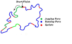 Fartlek – HSC PDHPE