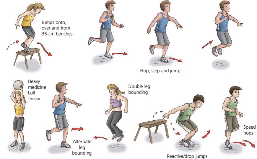 How To Do Plyometric Training At Jo Diggs Blog